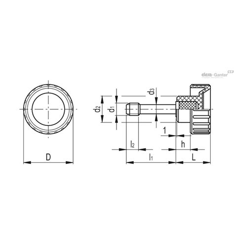 BT HP 25 P M8x30 Kopen Bestel Bij Elesa Ganter B V