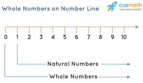 whole numbers definition examples what are whole numbers