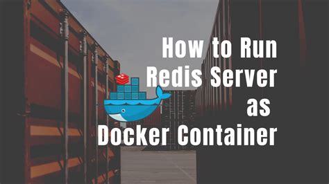 how to run redis server as docker container beetechnical