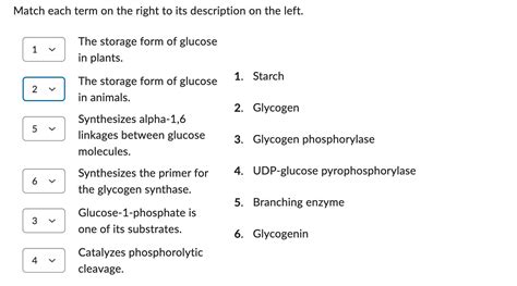 Solved Match Each Term On The Right To Its Description On Chegg