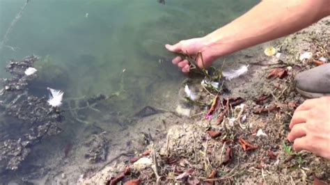 Catching Huge Bass In A Private Pond I Fell Into The Water Youtube