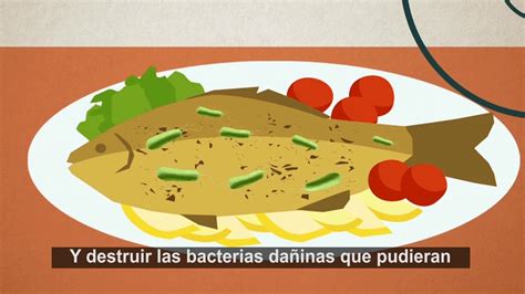 Ciencias nucleares en la irradiación de alimentos YouTube