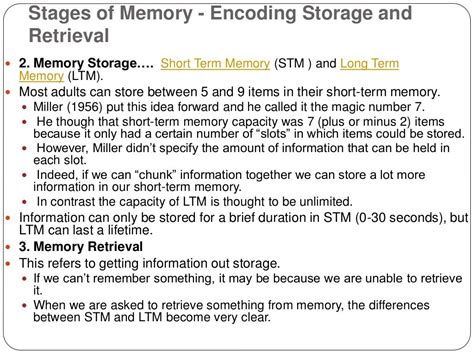 stages of memory encoding storage and retrieval