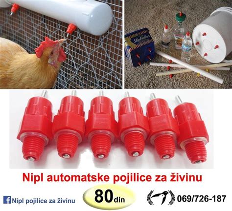 Automatske pojilice Kruševac