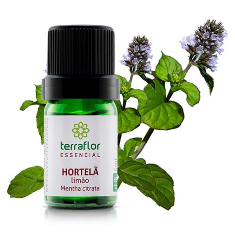 ÓLEO ESSENCIAL HORTELÃ LIMÃO TERRAFLOR 5ML SOU DE GAIA Sua essência