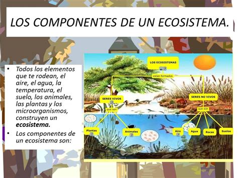 Cosas de niños para la escuela TEMA 2 DE NATURALES 5º CURSO NUESTRO