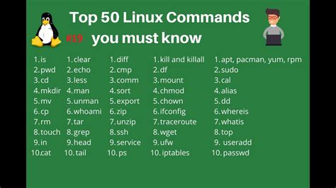 Devops Class Basic Linux Commands Linux Aws Youtube