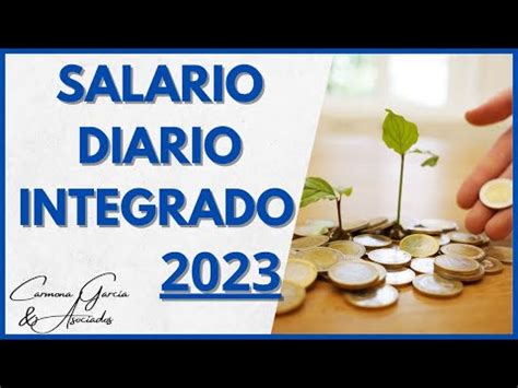 Calcula tu SDI Cómo obtener el salario diario integrado Punto Once