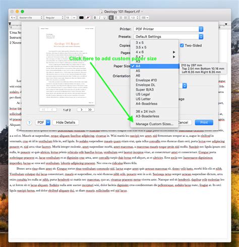 how to print to pdf with custom size paper such as a1 and a2 flyingbee software support