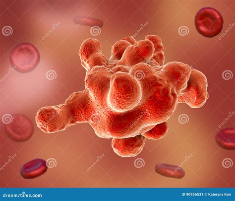 Entamoeba Histolytica Protozoan Stock Illustration CartoonDealer