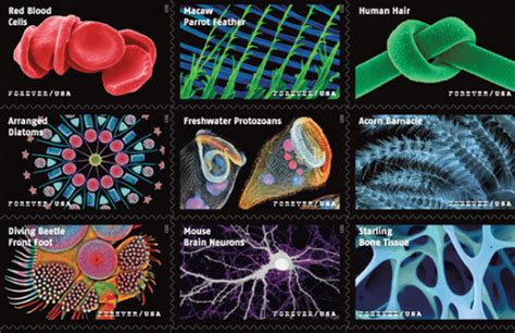 U S Postal Service Reveals Additional Stamps For 2023 WRNJ Radio