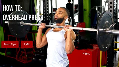 Musclewiki Simplify Your Workout