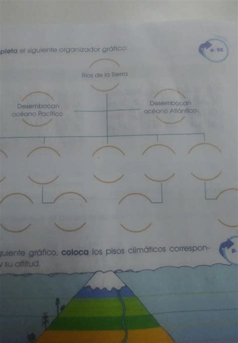 Completa El Siguiente Organizador Grafico Brainly Lat