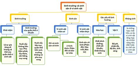 Sơ đồ tư duy Sinh học 10 Bài 19 Quá trình tổng hợp và phân giải ở vi