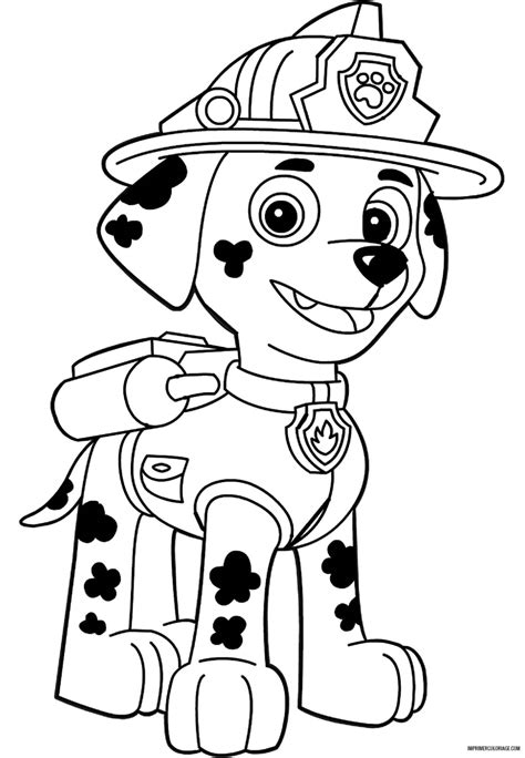 Coloriage De Marcus De La Pat Patrouille Imprimer Coloriage