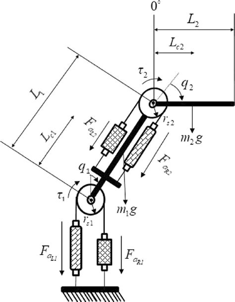 a 2 link robot manipulator actuated by pams download scientific diagram