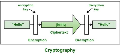 A Beginner S Guide To Understanding Encryption And Decryption Imedia