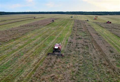 Combine Harvester On Harvesting Oilseed In Field Aerial View Of