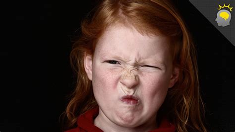 The Look Of Disgust Science On The Web Youtube