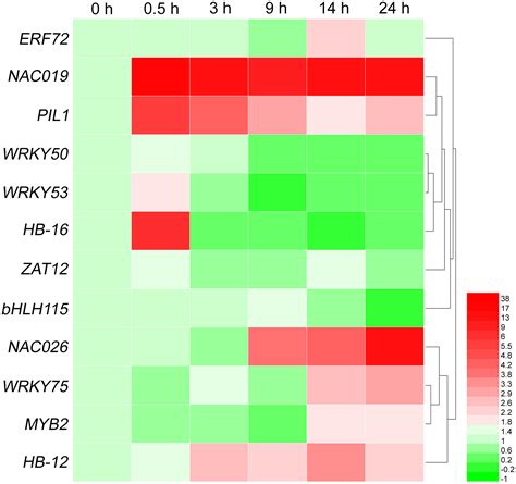 frontiers generation annotation and analysis of a large scale expressed sequence tag library