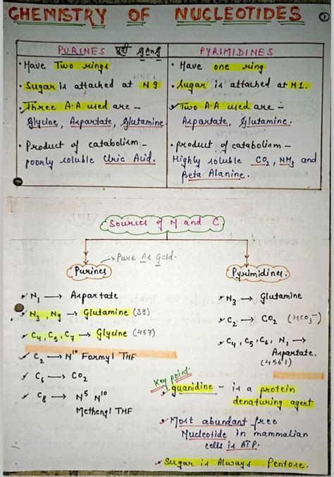 Chemistry Of Nucleotides Notes Pdf Best Handwritten Notes For Mbbs