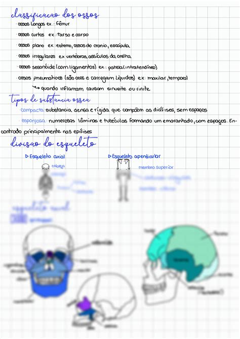 Solution Anatomia Humana Studypool