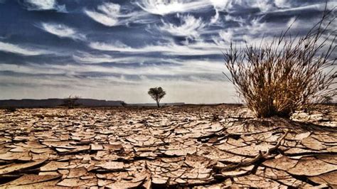 Infografis Cuaca Panas Dan Potensi El Nino Agustus 2023 Di Indonesia