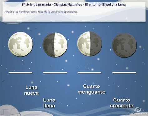 Dibujos De Las Cuatro Fases De La Luna Para Niños Green Your Life philly