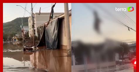 Ovelha Aparece Pendurada Em Fia O Ap S Ciclone No Rs Cat Strofe Terra
