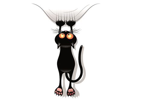 Scratching Cat Hanging Funny Clip Art Black Cat Hd Wallpaper