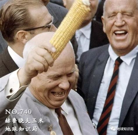 赫鲁晓夫是如何成为苏联玉米大师的 玉米 赫鲁晓夫 苏联 新浪新闻