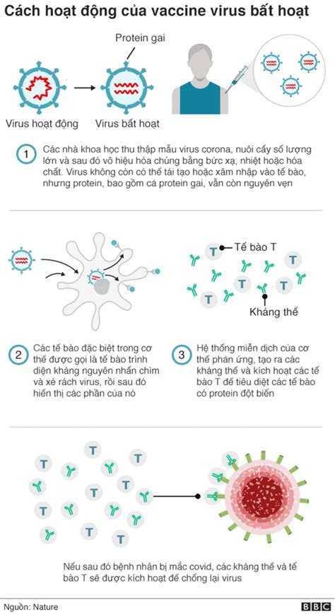 Dưới Là Từ Loại Gì Giải Đáp Đầy Đủ Và Chi Tiết