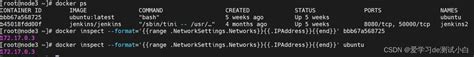 36 docker 常用命令详解 docker inspect csdn博客