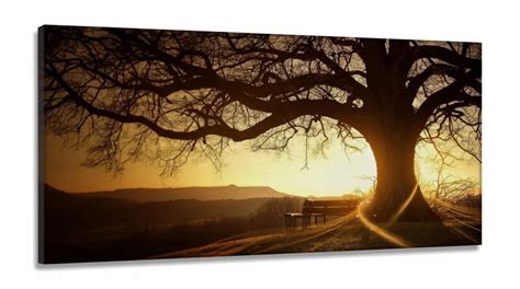 Loja Wall Frame Quadros Decorativos Para Todos Os Ambientes