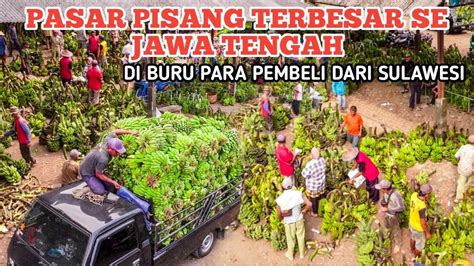 Pasar Pisang Terbesar Se Jawa Tengah Lebih Dari 20 Jenis Pisang Ada Di