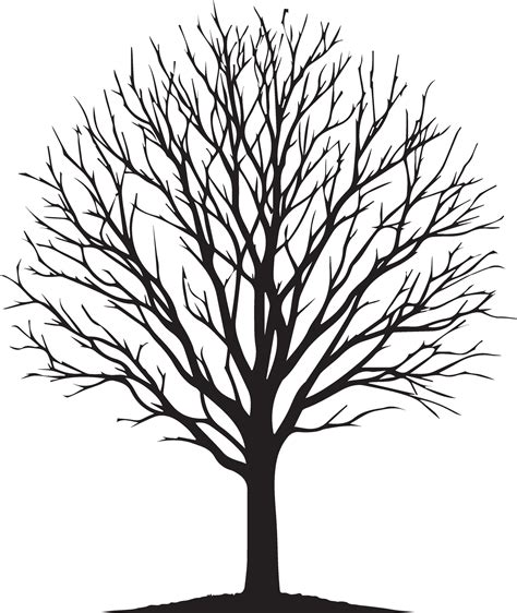 desnudo árbol vector silueta negro color 36286148 Vector en Vecteezy