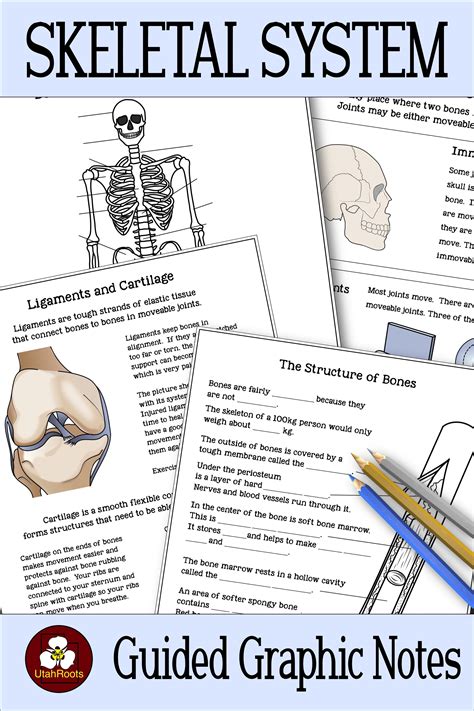 Guided Graphic Notes And PowerPoint Presentation Skeletal System