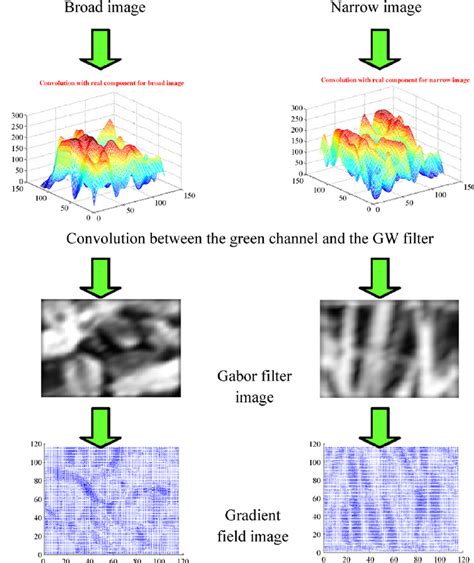 gabor filtered image and its gradient field image based on 45 download scientific diagram