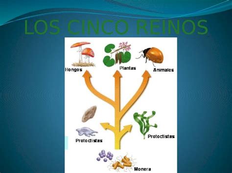 Pptx Los Reinos Biologicos Pdfslide Net