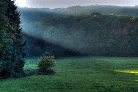 Hintergrundbilder Sonnenlicht Landschaft Wald H Gel See Wasser