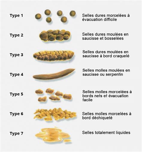Tournoi Bobine Telemacos Selle Molle Et Pilule Industriel Des Haricots