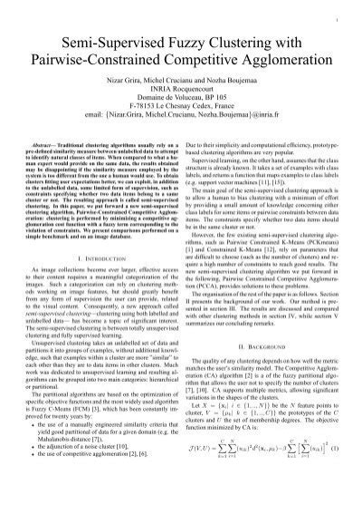 semi supervised fuzzy clustering with pairwise muscle