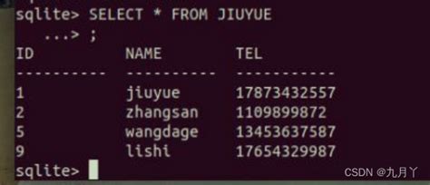 sqlite3 函数接口 sqlite3 接口读指定表 csdn博客