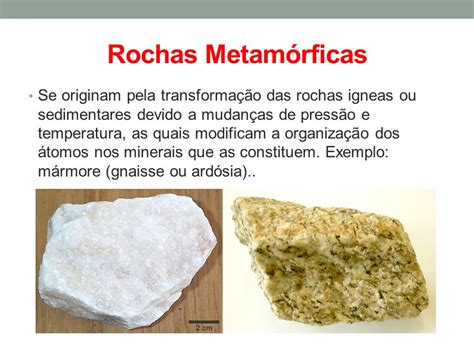 Rochas Biologia A Ci Ncia Da Vida