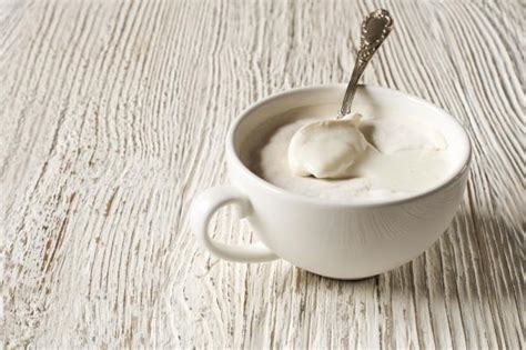 Introducir 109 Imagen Yogur Recetas Caseras Abzlocal Mx