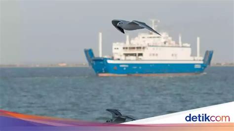 Kapal Kargo Bawa 15 Kru Hilang Kontak Di Laut Aru Maluku Sejak 3 Hari