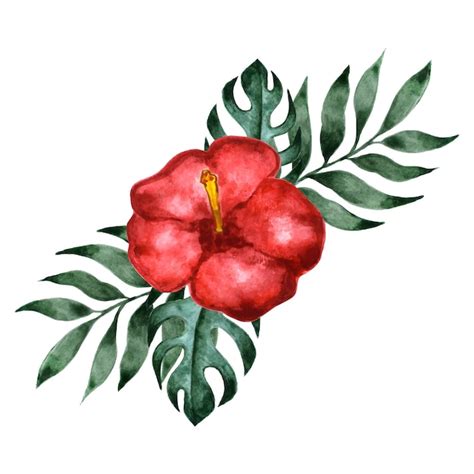 Ramo Tropical De Acuarela Vectorial Con Flor De Hibisco Rojo Y Hojas De