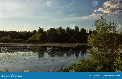 Krajobraz Naturalny Trawy Drzewa Na Brzegu Jeziora O Zdjęcie Stock