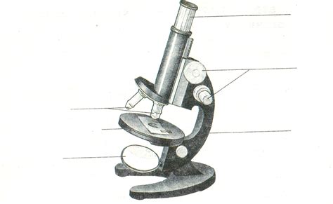 Cómo dibujar un microscopio con un lápiz instrucciones paso a paso
