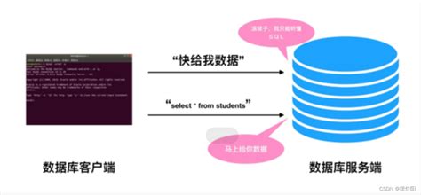 数据库基础 数据库csdn csdn博客